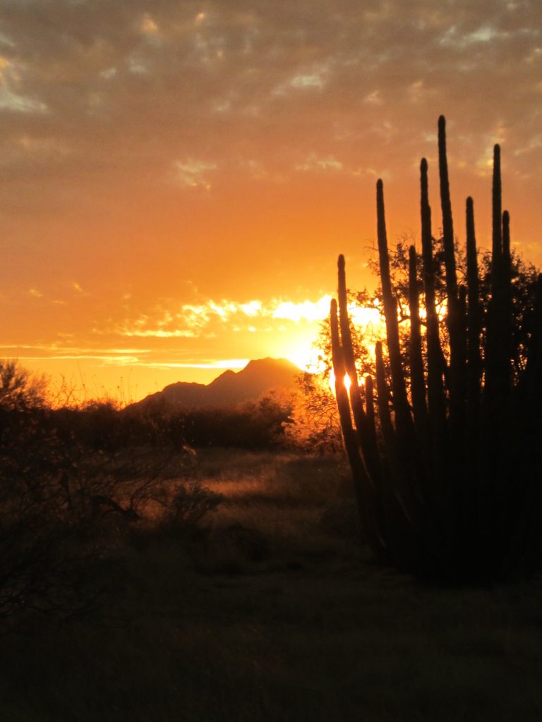 Hermosillo - Gray Ghost Safaris - wild game hunting and fishing adventures